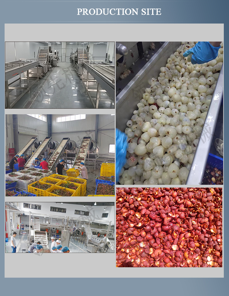 Lychee And Rambutan Seed Separator Machine - 2-3t/h Peeling And Pitting ...