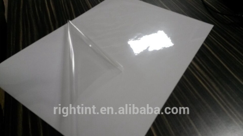 A4 Size Paper Sticker Label A4 Size, High Quality A4 Size Paper Sticker ...