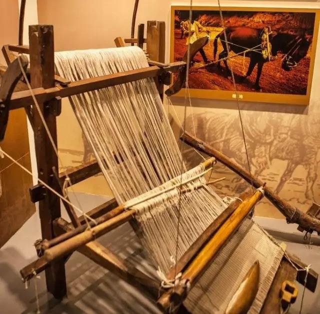 Rapier loom, air jet loom, water jet loom, projectile loom