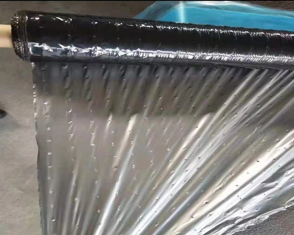 Biodegradable Plastic Mulch White Transparent Mulch Film, High Quality ...