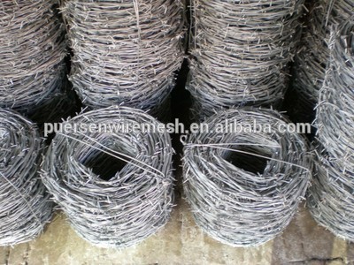 Electro Galvanized Double Strand Barbed Wire, High Quality Electro ...