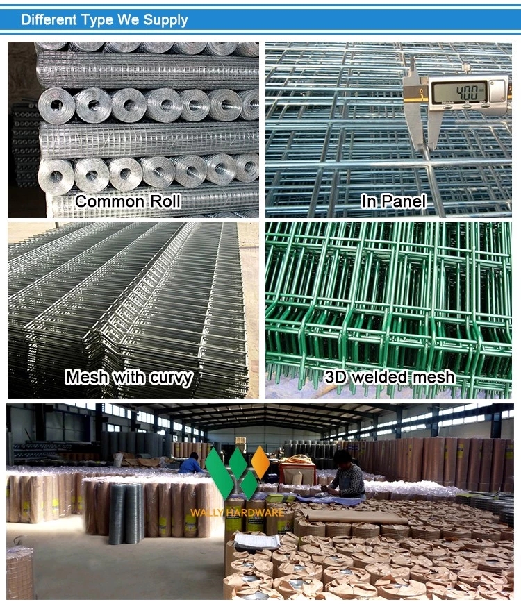 Types Of Welded Wire Mesh And Metal Wires, High Quality Types Of Welded ...