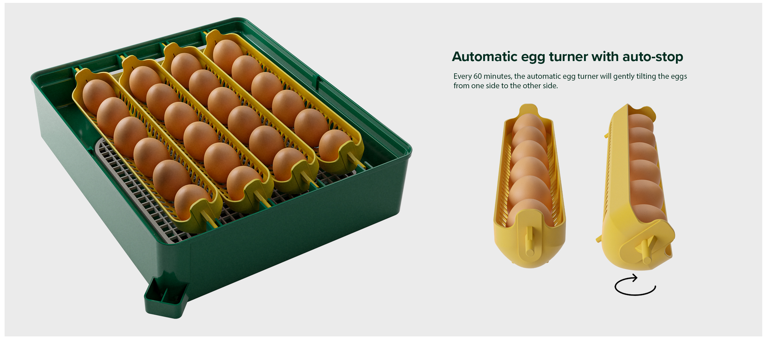 Eu Profi C-24 Egg Incubator With Automatic Humidity Control, High ...