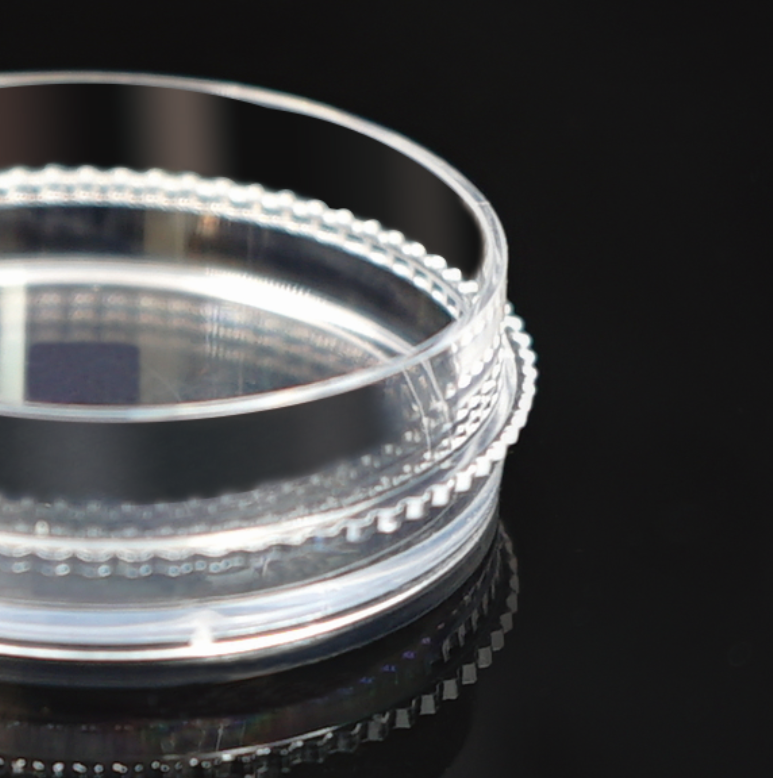 35mm Cell Culture Dishes With Griping Ring China Manufacturer