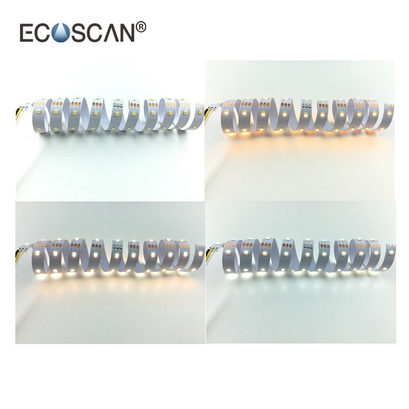 Ecoscan 베스트셀러 60+60 Led Dc24v 10w/m Smd3014 Cct 조정 가능한 방수 Led 로프 라이트 ...