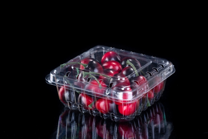 Vented Plastic Clamshell Vegetable Containers, High Quality Vented ...