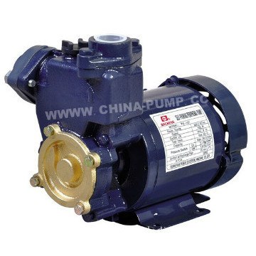 Dacheng Automatic Booster System Self-sucking Pump, High Quality ...
