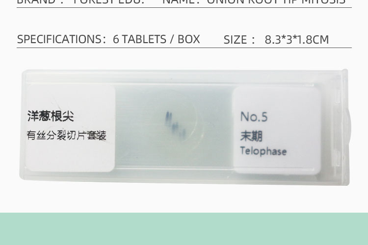 Mitosis Slides Set - Onion Root Tip 5pcs - Frt1001 - Plant Genetics And ...