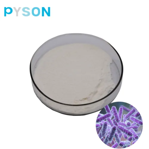 Pyson Supply Bacillus Subtilis Powder 300 Billion Cfu/g, High Quality ...