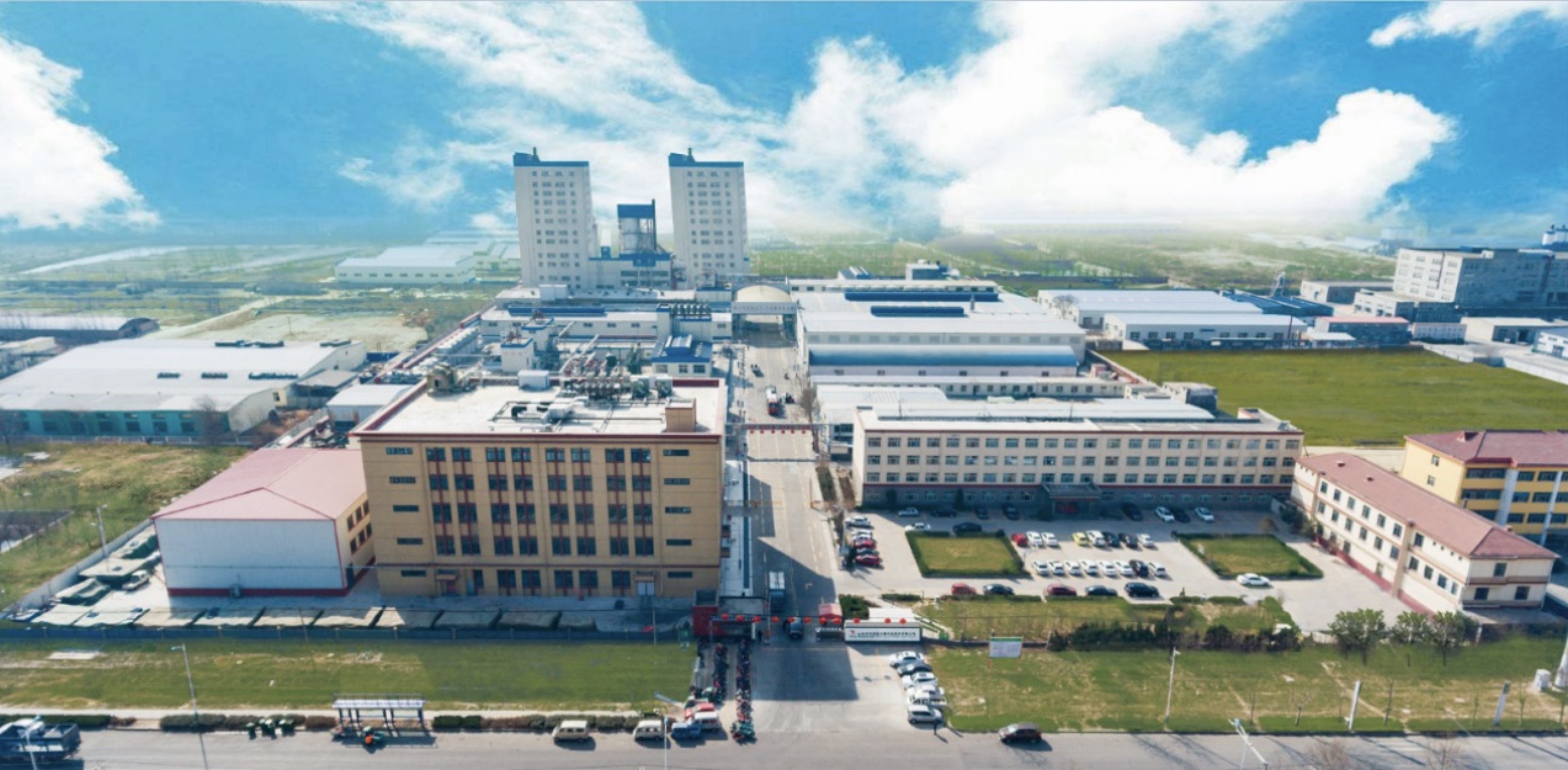 Zero Calorie Psicose Ice Cream Sweetener Allulose, High Quality Zero ...