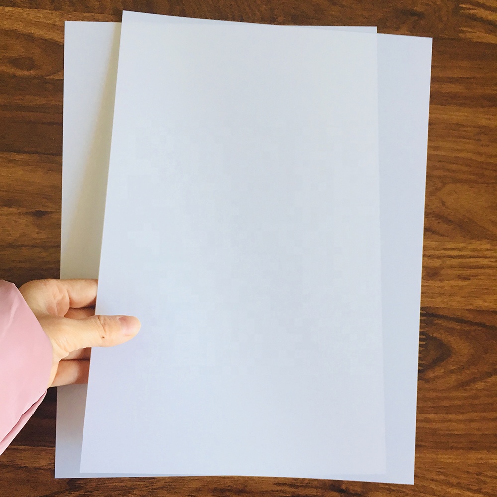 Custom Sizes A2 A3 A4 8.5x11 11x17 Inch Thin Picture Holders | Blank ...