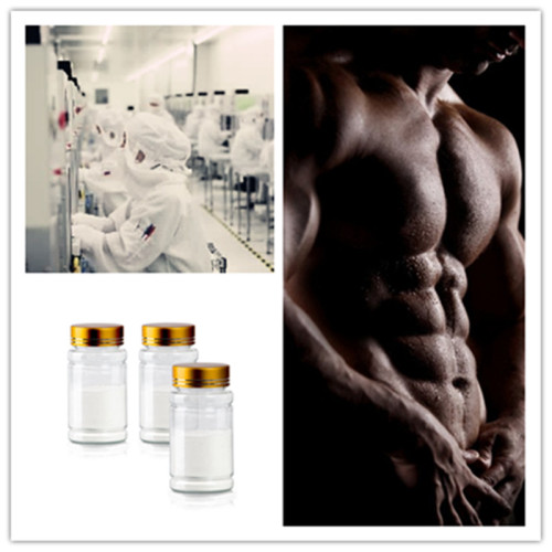 Female Sex Enhance Powder Estradiol Benzoate High Quality Female Sex Enhance Powder Estradiol