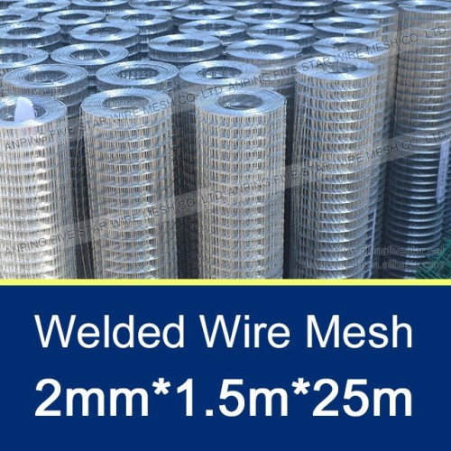 Ss Welded Wire Mesh/304 Ss Welded Wire Mesh/316 Ss Welded Wire Mesh ...