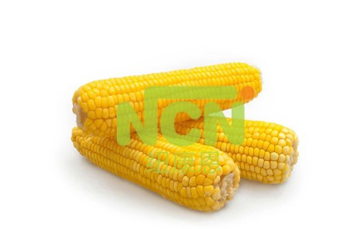 Frozen Steamed & Boiled Sweet Corn, High Quality Frozen Steamed ...