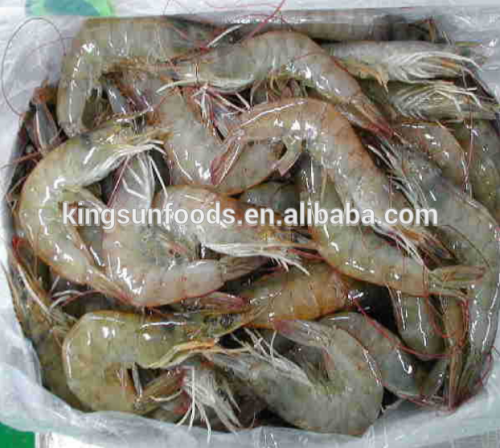 Frozen Vannamei Shrimp Hoso Head On Shell On, High Quality Frozen ...