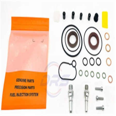 Overhaul Repair Kit For Bosch Cp3 Diesel Common Rail Fuel Injection ...