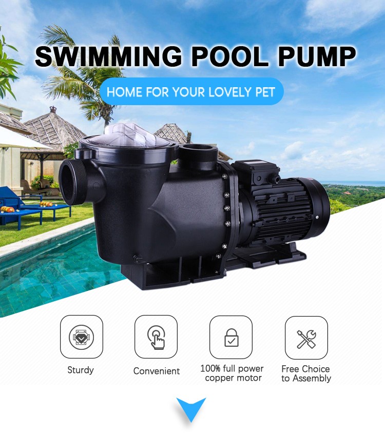 High Power Pool Pump 4 Hp And Filter 3 Inch Port, High Quality High ...