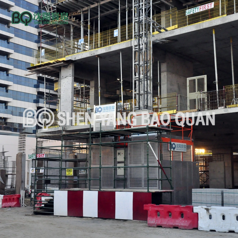 The Best Building Hoist Passenger Hoists Manufacturer from China