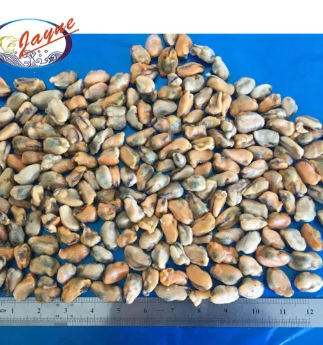 Frozen Seafood Mussel Half Shell Mussel Meat Frozen Shellfish For Sale ...