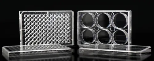 96 Well Edge Cell Culture Plates, High Quality 96 Well Edge Cell ...