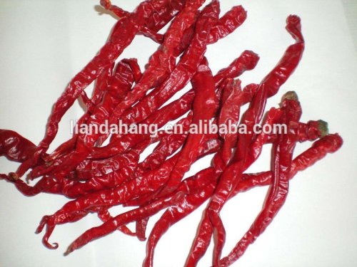 Certified Haccp/ Kosher/halal/fda Dried Xian Chilli, High Quality ...