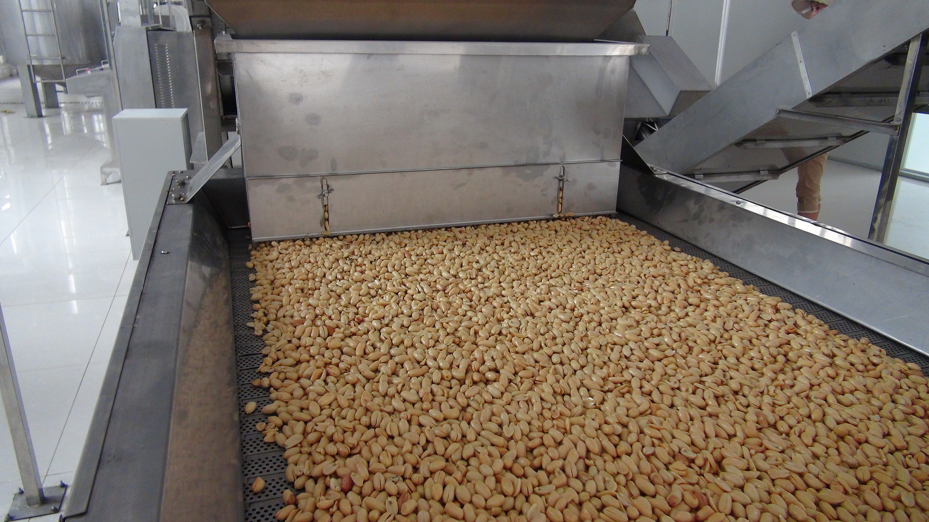 Fried peanut processing production line was delivered and installed in ...