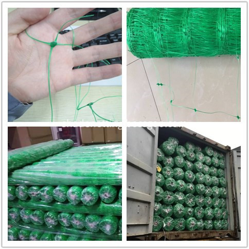 Plant Support Netting Used In Vertically And Horizontally, High Quality ...