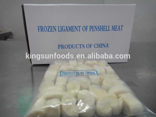 Iqf Frozen Ligament Of Pen Shell, High Quality Iqf Frozen Ligament Of ...