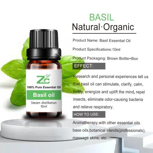 Best Quality Steam Distillation Natural Organic Basil Oil, High Quality ...