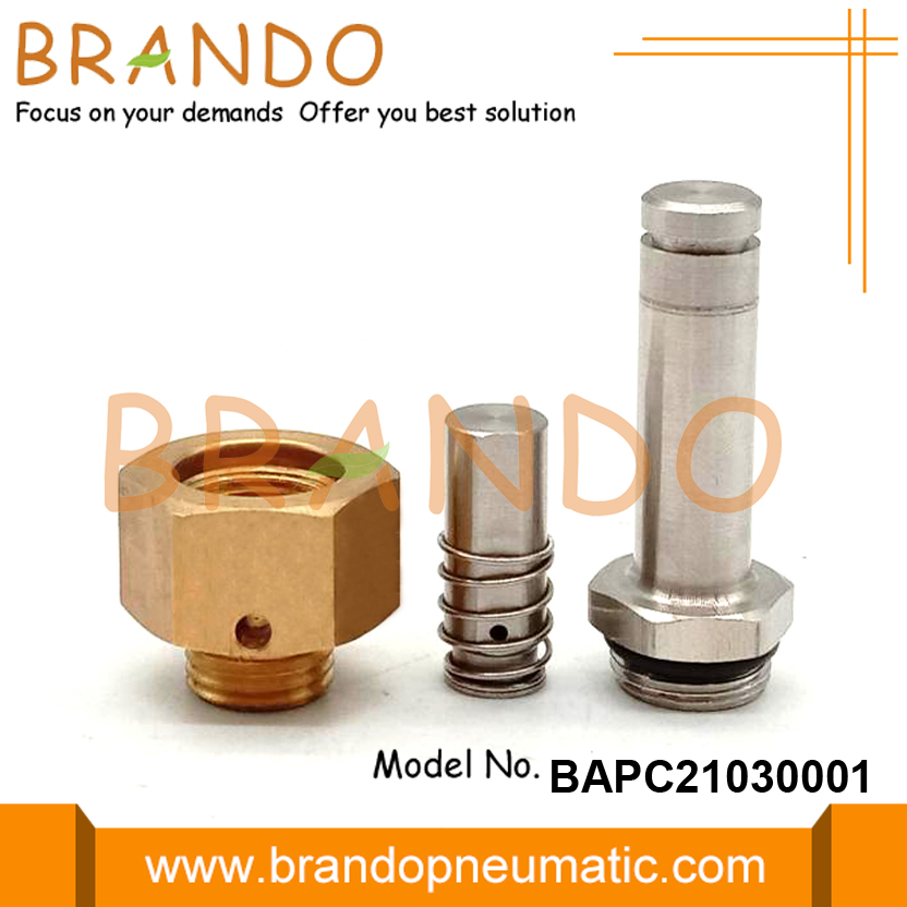 P10 Autel Type Pulse Jet Valve Solenoid Armature China Manufacturer