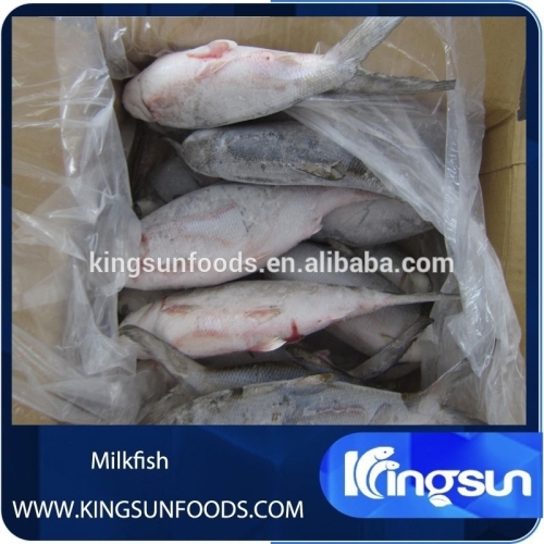 Milkfish (chanos Chanos), High Quality Milkfish (chanos Chanos) on Bossgoo.com