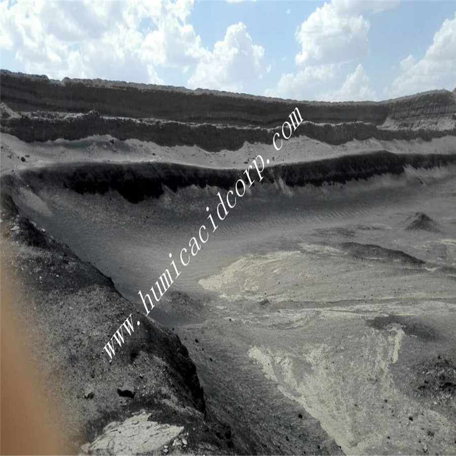 Leonardite แร่กรดฮิวมิกฐานปุ๋ย คุณภาพสูง Leonardite แร่กรดฮิวมิกฐานปุ๋ย ...