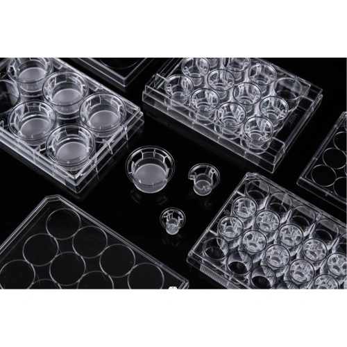 NEST Cell Culture Inserts China Manufacturers Suppliers Factory Exporter