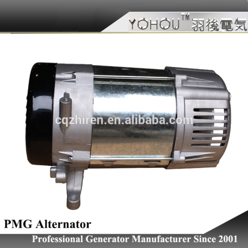 Pmg/pma Permanent Magnet Generator Alternator, High Quality Pmg/pma ...