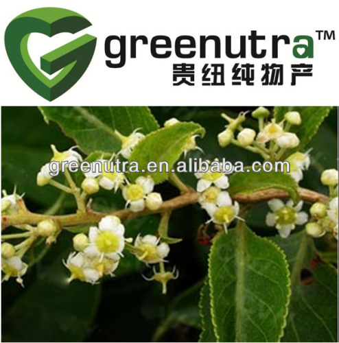 Lei Gong Teng Extract 98%triptolide, High Quality Lei Gong Teng Extract ...