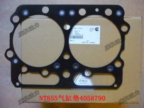 Genuine Ccec Cummins Nt855 Cylinder Head Gasket 4058790, High Quality ...
