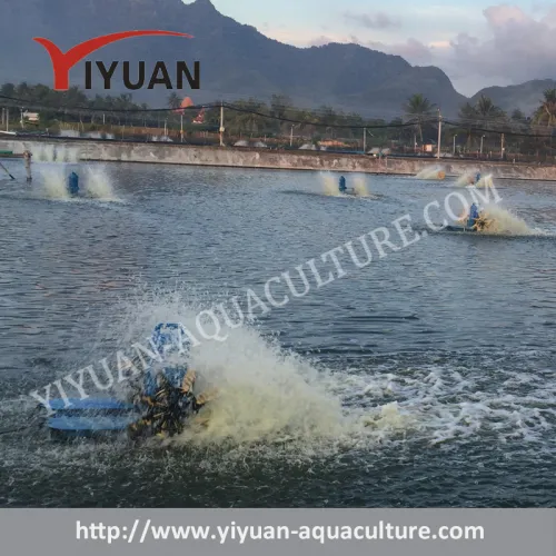 Aquaculture Paddlewheel Aerator For Prawn Pond, High Quality ...