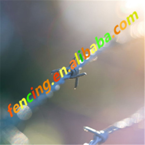 Barbed Wire Dolls Barbed Wire Art Barbed Wire, High Quality Barbed Wire ...