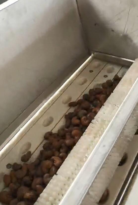 China Cashew Nuts Shelling Machine,Cashew Nuts Hulling Machine,Nuts ...