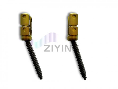 Anodized Spinal Titanium Bolts, High Quality Anodized Spinal Titanium ...