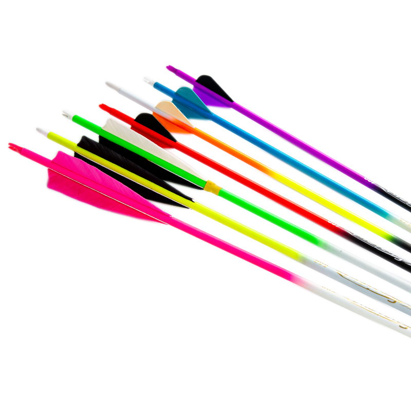 Pinals Archery Carbon Arrows 30 Inches Shafts With Spine Options, High ...