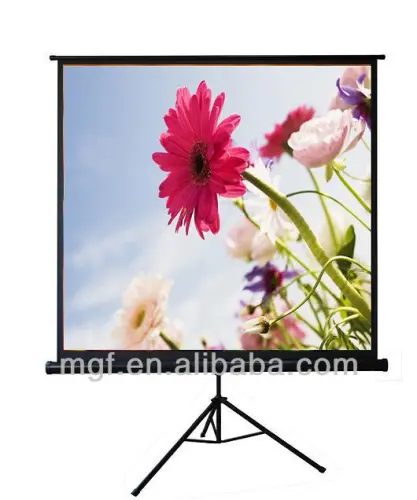 Manual Screen /projector Screen/projection Screen/tripod Screen, High ...