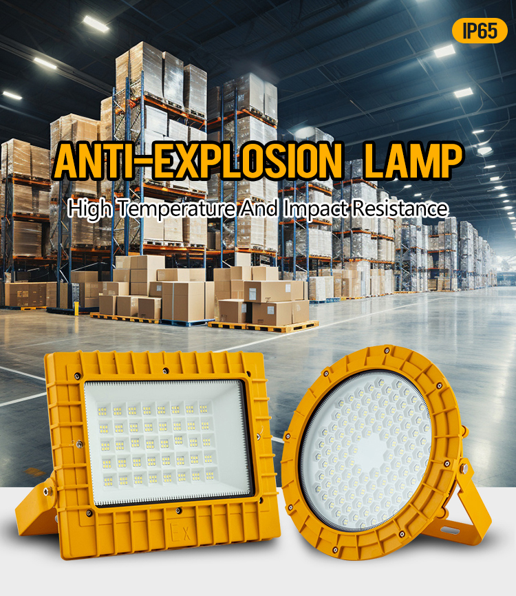 Atex Anti-explosion Proof Flood Light 50-200w Ip65 Zone 1/2/21/22 Led ...