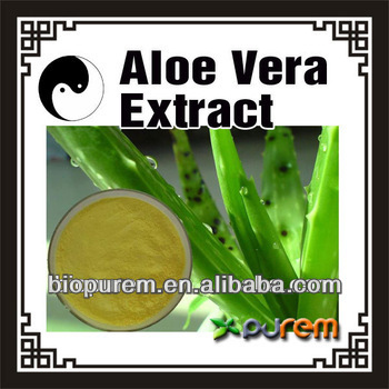 Aloe Vera Leaf Powder Extract, High Quality Aloe Vera Leaf Powder ...