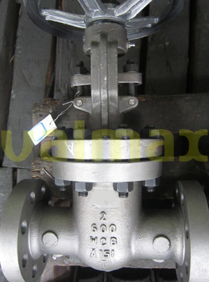 Check Valve, 600 Lb, 1/2 Inch, Piston Type, Bolted Cap, High Quality ...