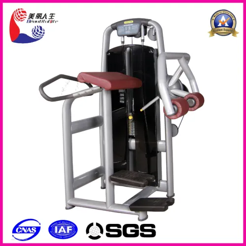 Standing Leg Extension Leekon Gym Equipment, High Quality Standing Leg ...