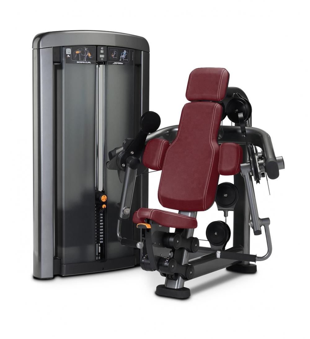 Seated Biceps Curl Machine for Commercial Gym China Manufacturers ...