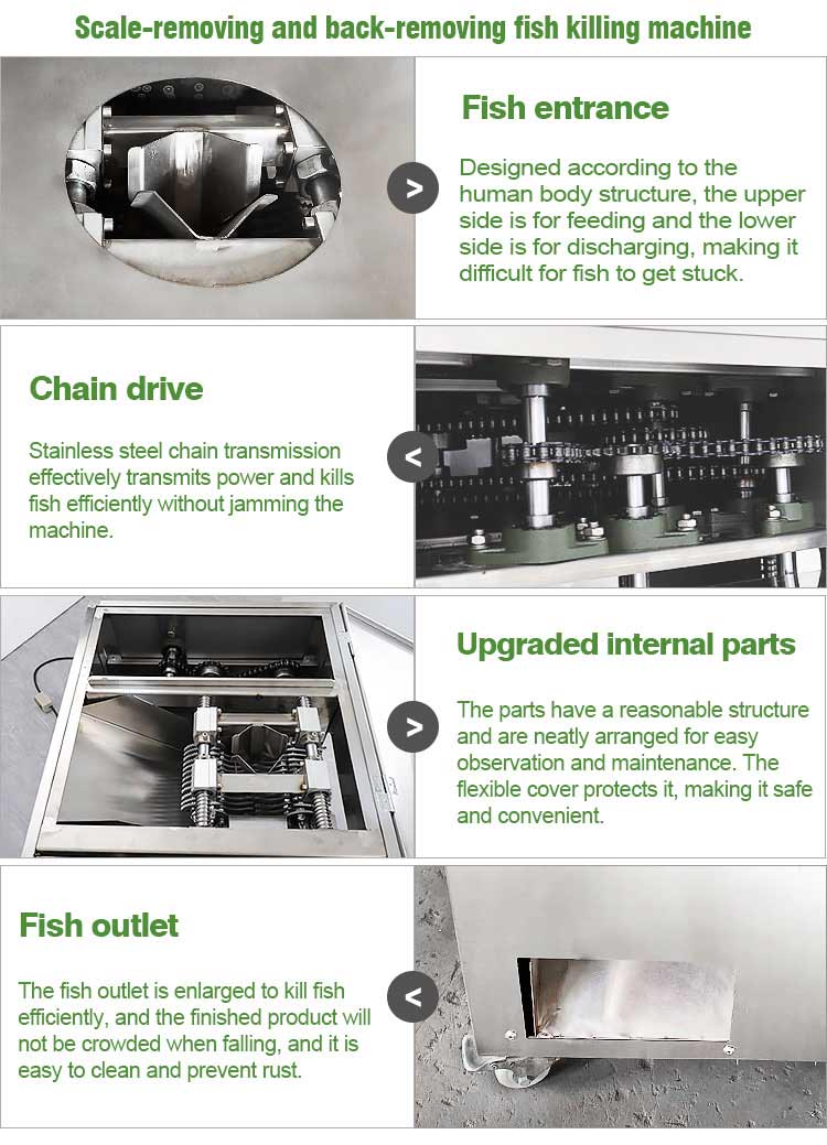 Automatic Fish Processing Machine: Evisceration, Scaling, And Cutting ...