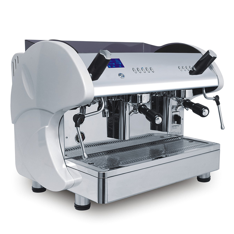 12l Double Head Semi-automatic Professional Coffee Machine Espresso ...