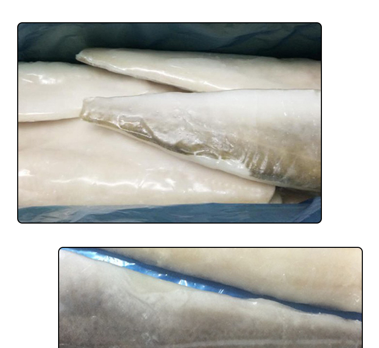 Skin-on Atlantic Cod Portion Light Salted Fillet,skin-on Light Salted ...